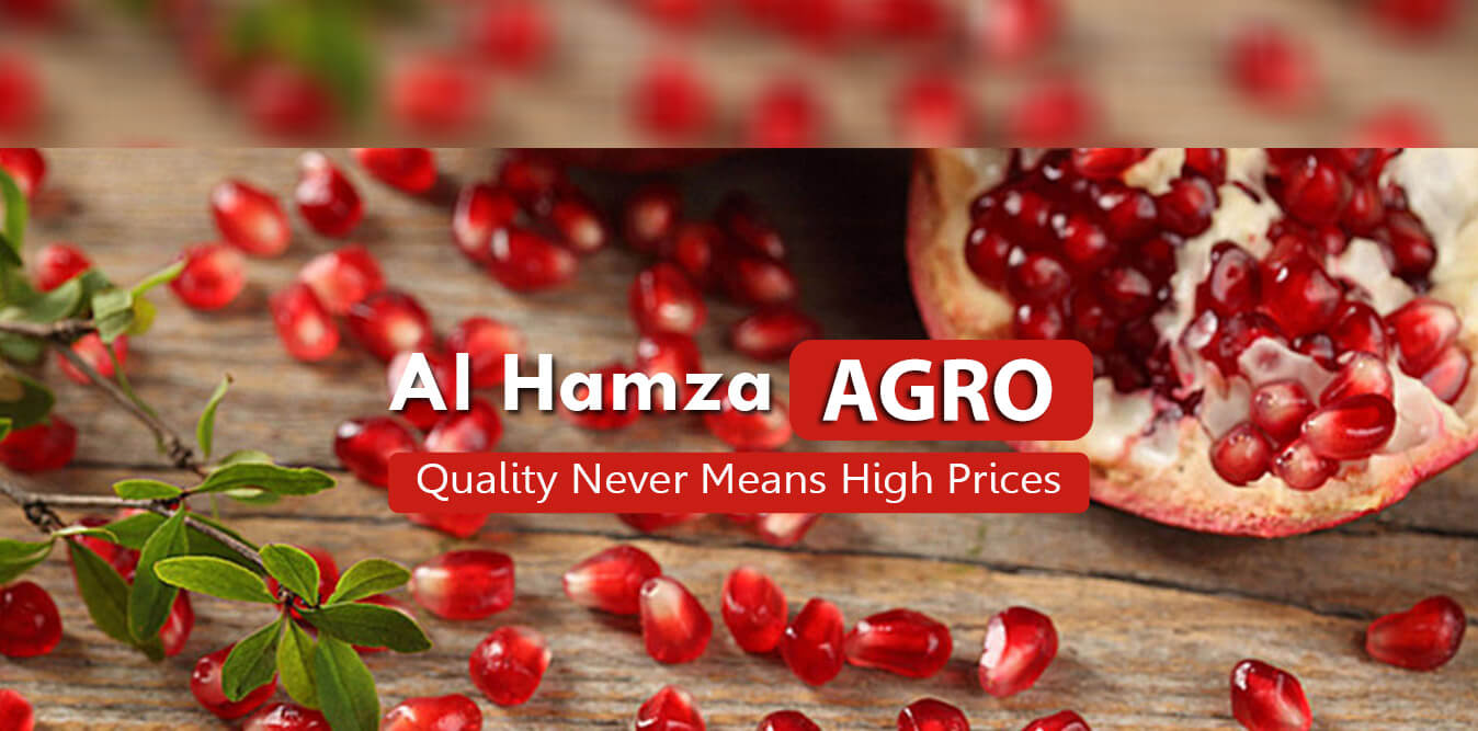 AL Hamza Agro – Import Export
